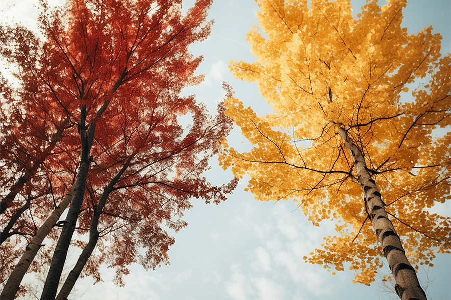 Update to Parents - Week of October 21, 2024 - Lakeshore School